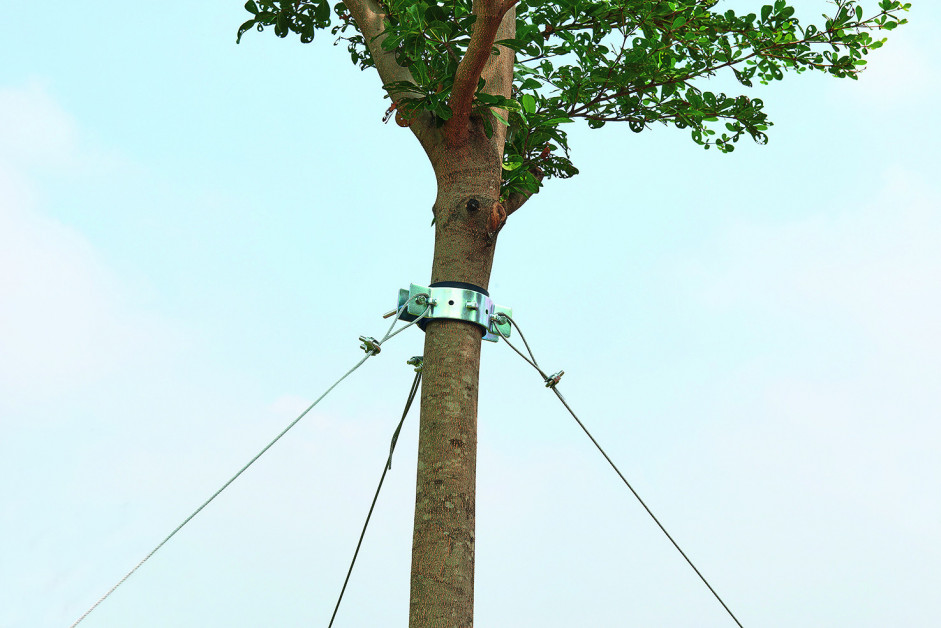 Adjustable tree stake - diyinternational