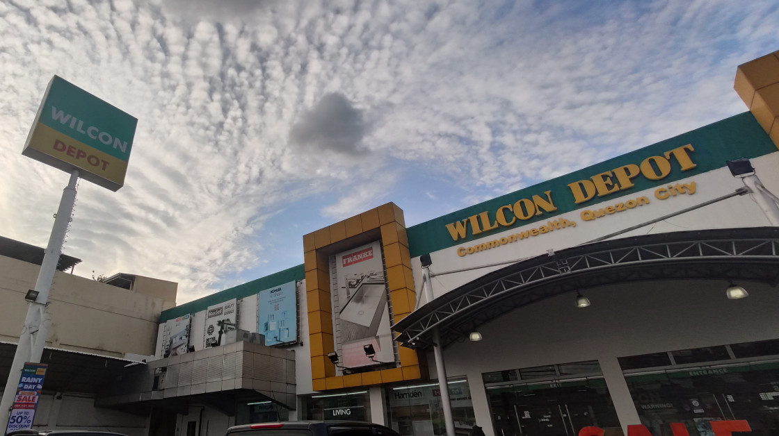 Wilcon sales buoyed by renewed cons... - diyinternational