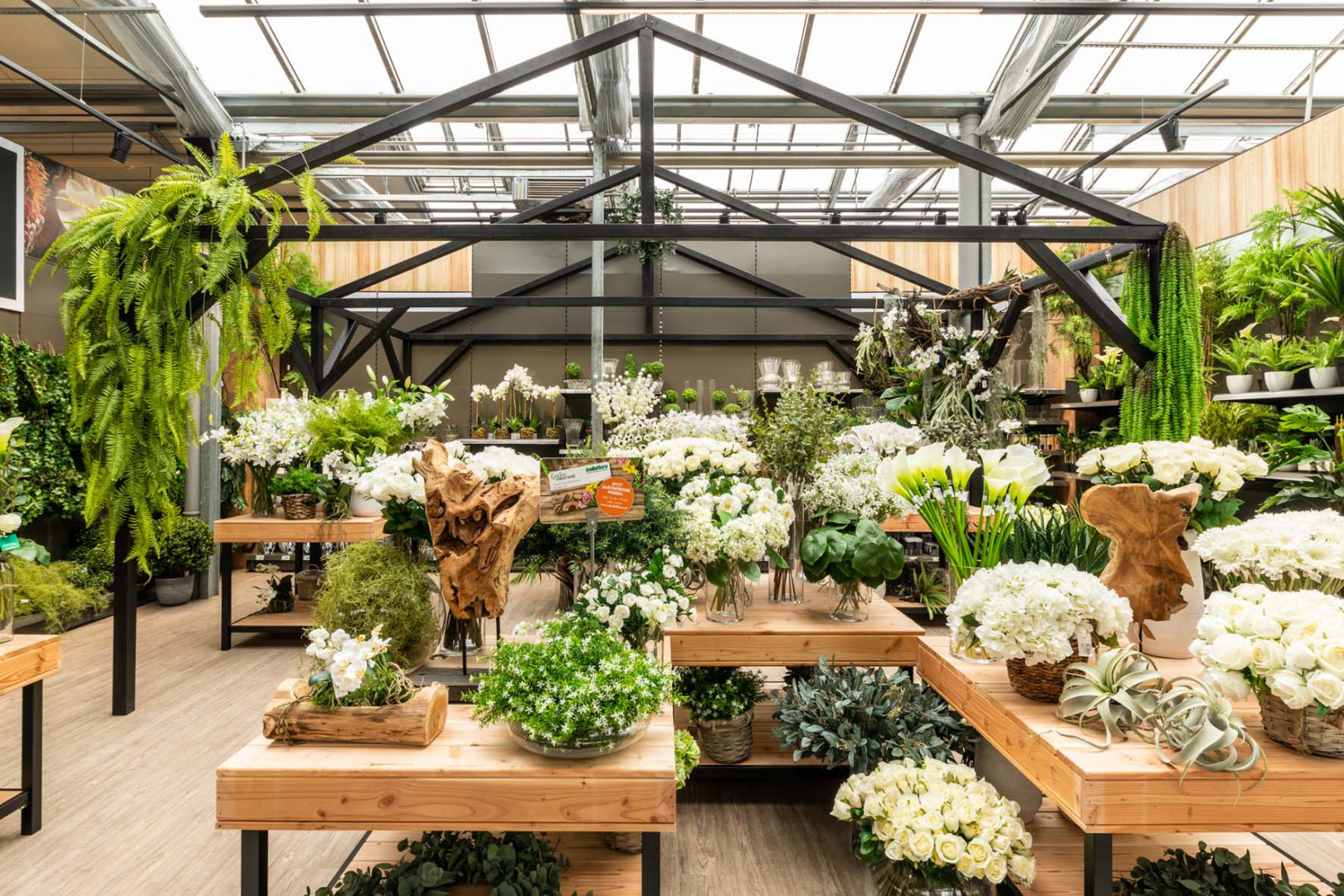 Bellaflora revamps its stores as gr... - diyinternational