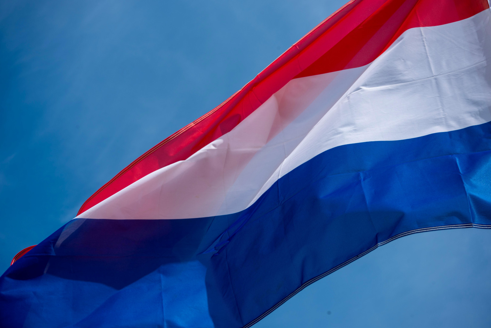 Dutch DIY stores show significant g... - diyinternational