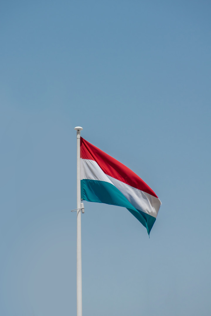 Dutch DIY markets show double-digit... - diyinternational