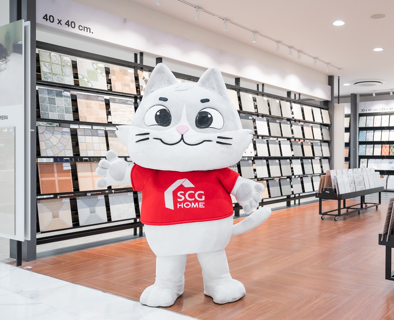 Challenging market for SCG Distribu... - diyinternational