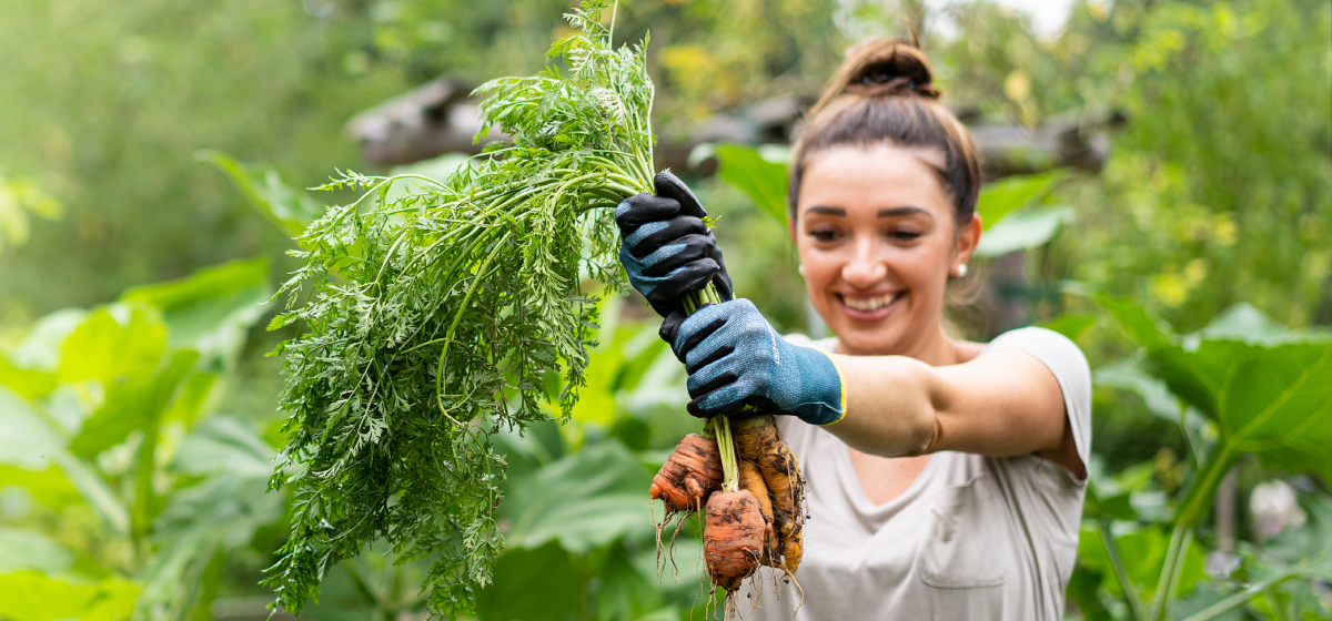 Off to the garden with GEBOL - diyinternational