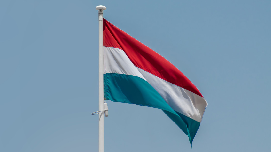 Dutch DIY markets show double-digit... - diyinternational