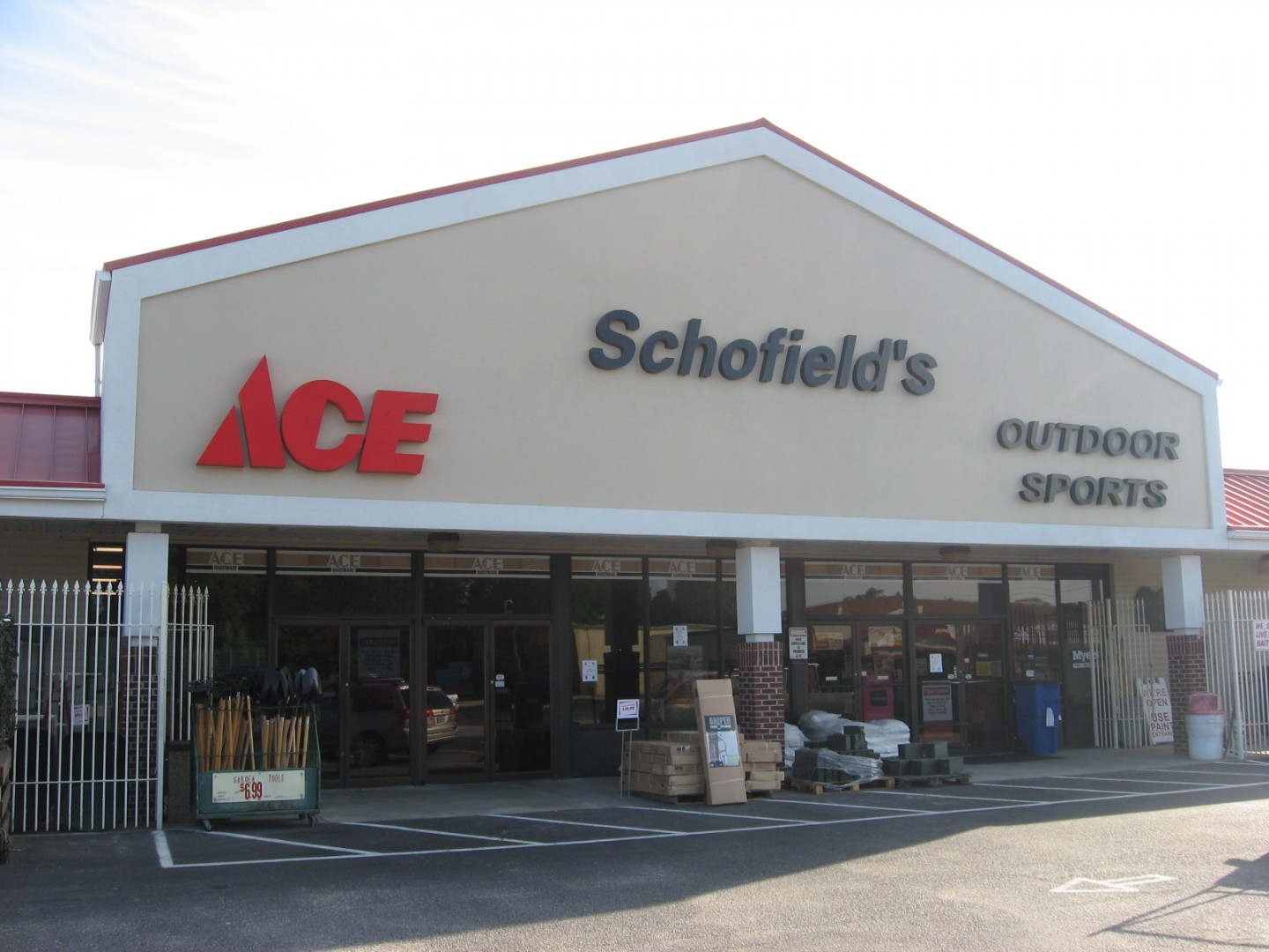 Ace retailers increase same-store s... - diyinternational
