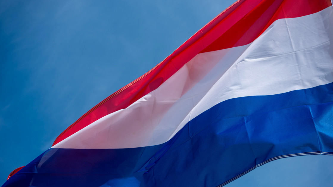 Dutch DIY stores show significant g... - diyinternational
