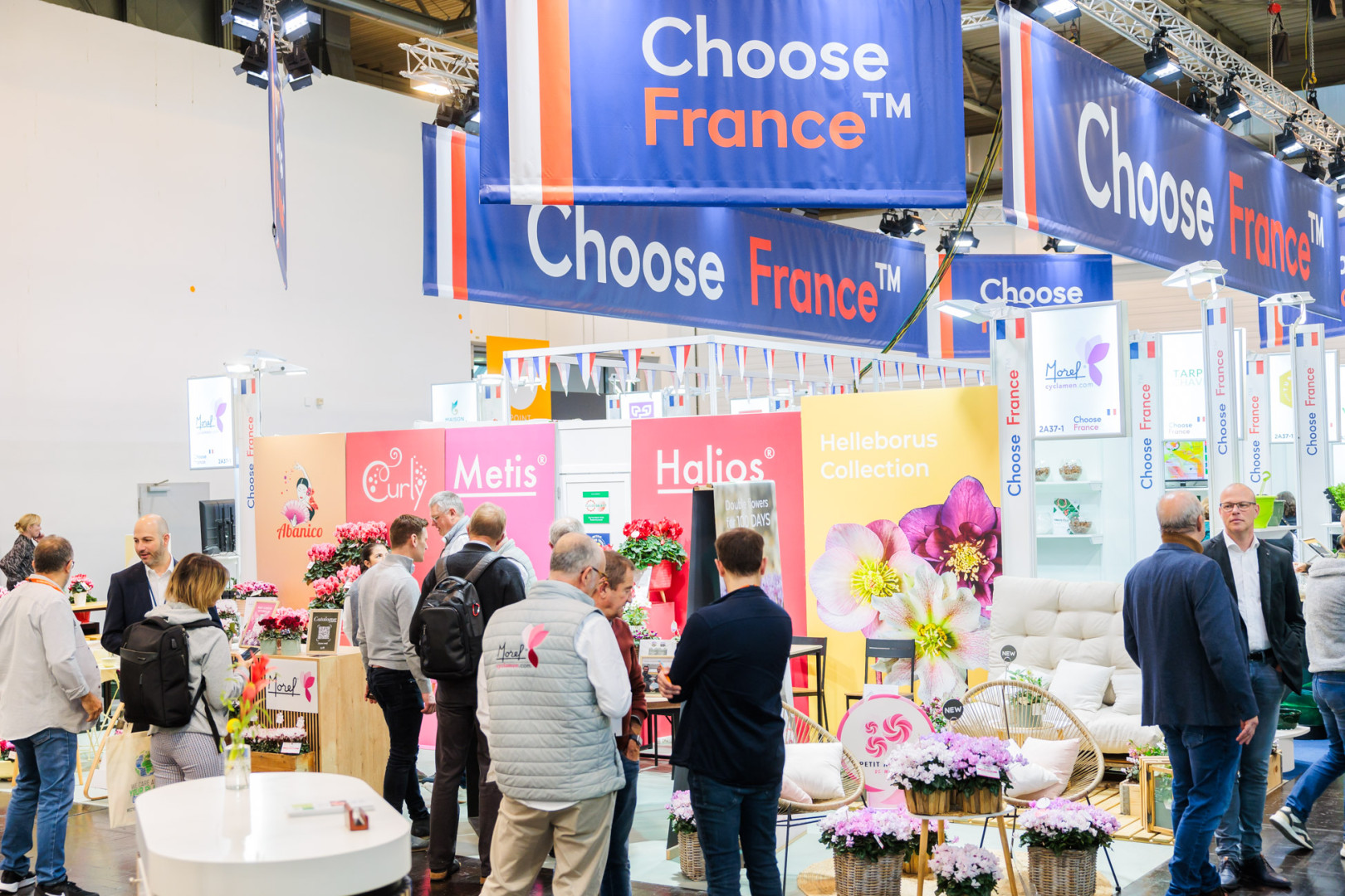 14 national stands at IPM 2026 - diyinternational