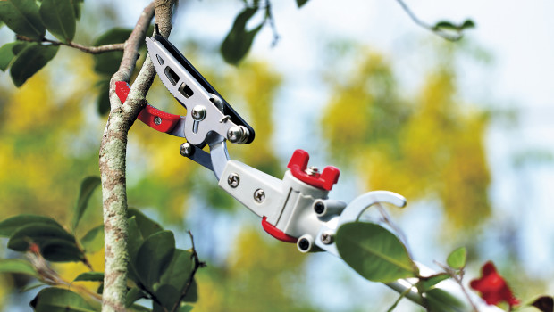 Adjustable head long reach pruner - diyinternational