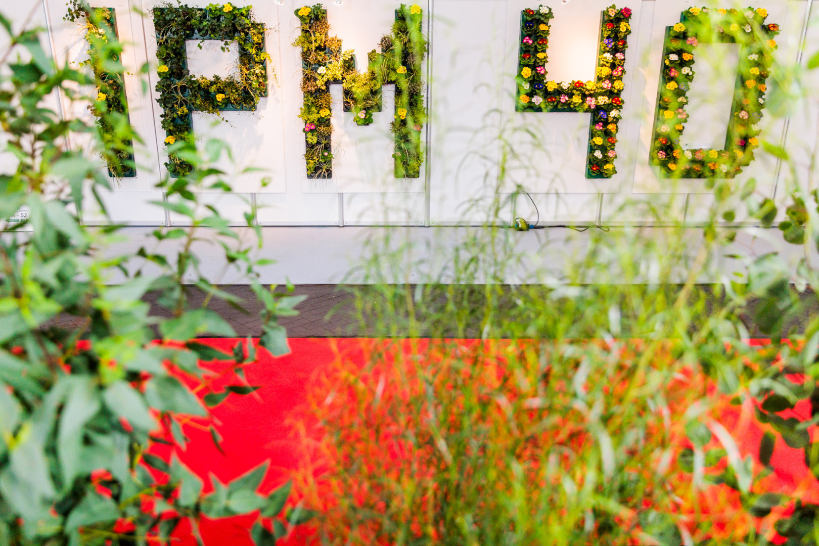 40th IPM: 36,000 visitors despite r... - diyinternational