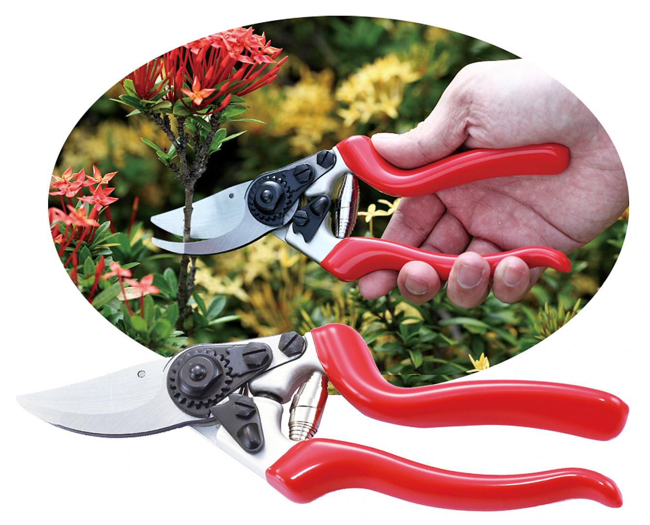 Drop-forged bypass pruner - diyinternational
