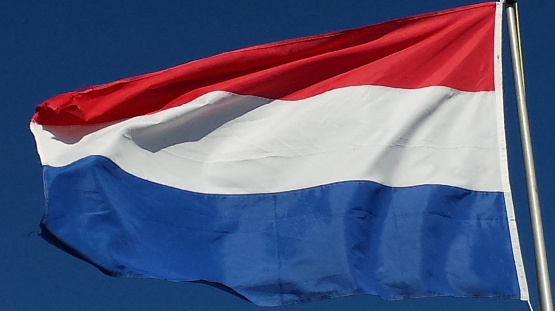 Plus 20 per cent for DIY stores in ... - diyinternational