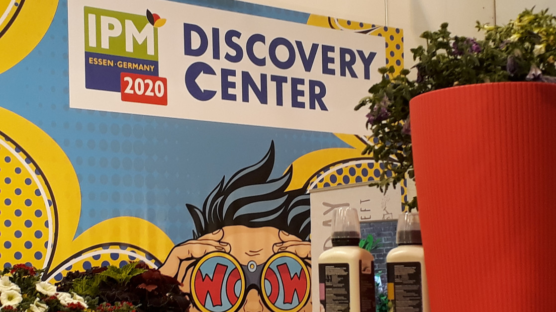 IPM Summer Edition receives much ap... - diyinternational