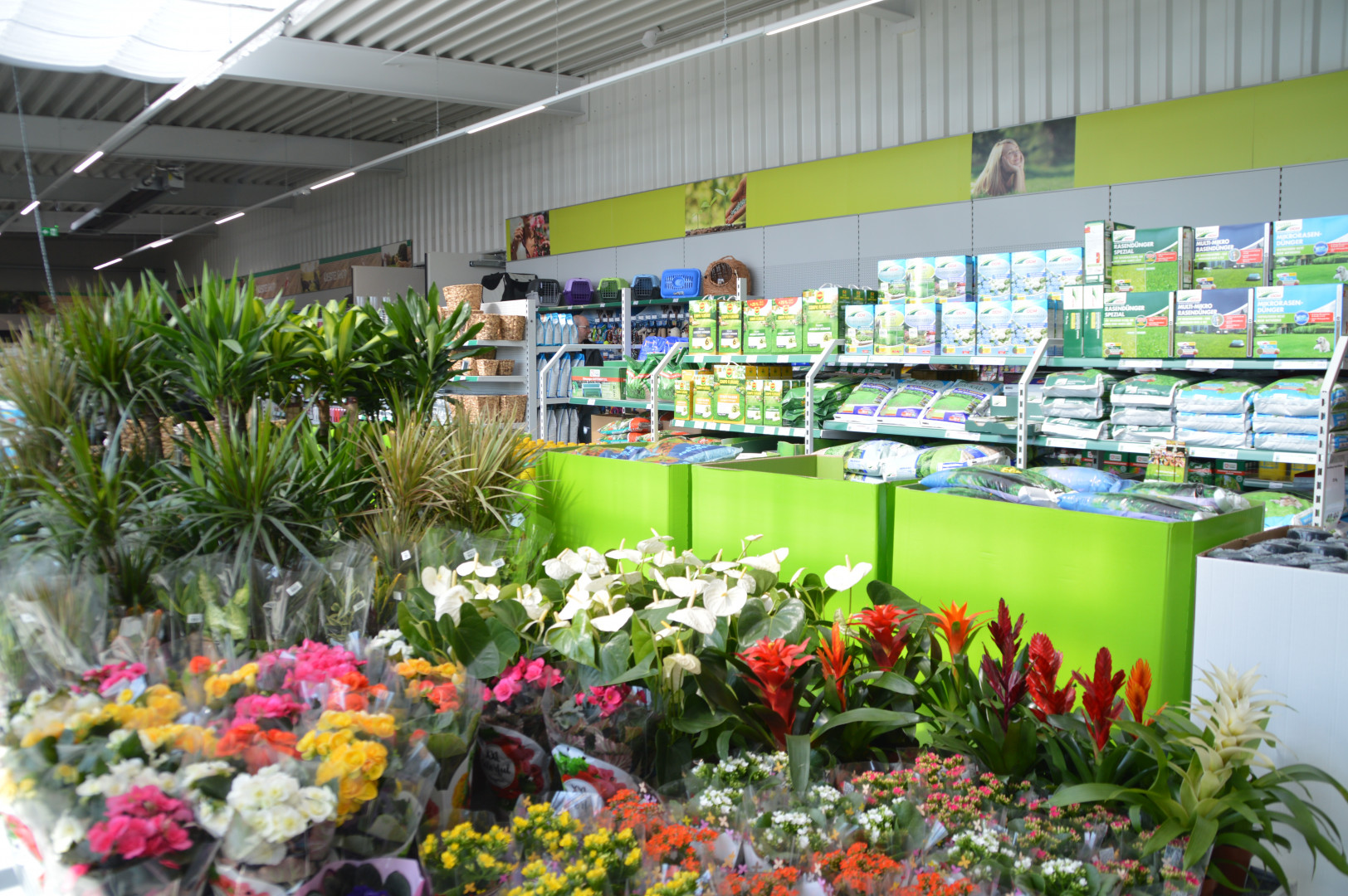 German DIY stores notch up a sales ... - diyinternational