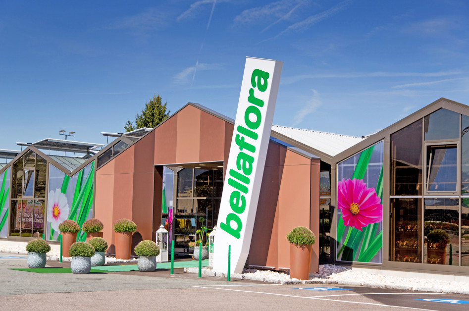Green pioneer - diyinternational